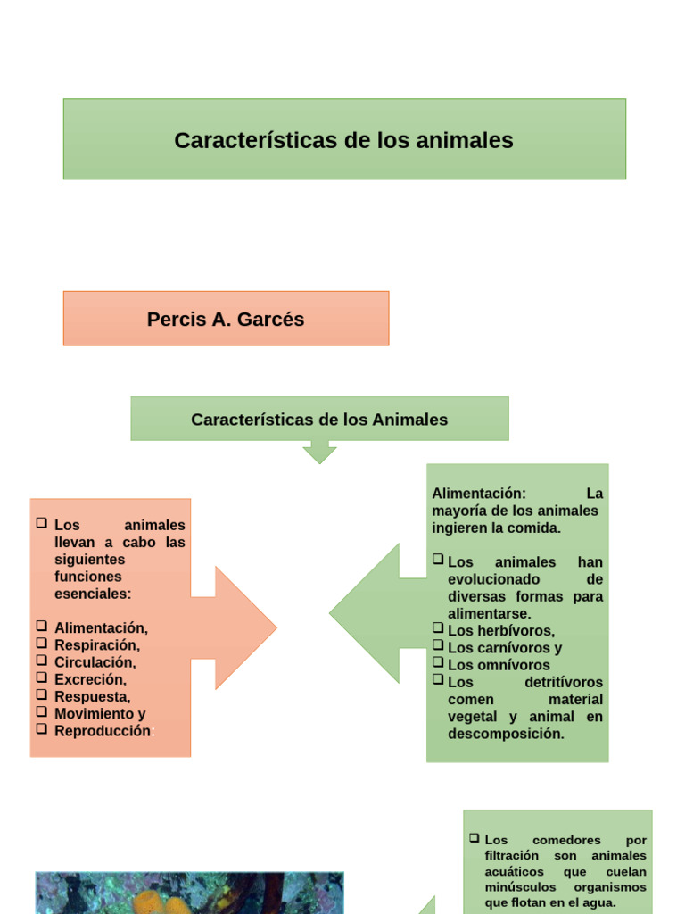 Características de Los Animales, Concepto de Especie 2024 | PDF ...