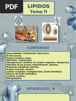 Sintesis Trioleina Completa | PDF
