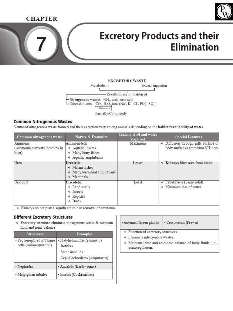 65df4b7cd7582d0018cf464c - ## - Excretory Products and Their ...