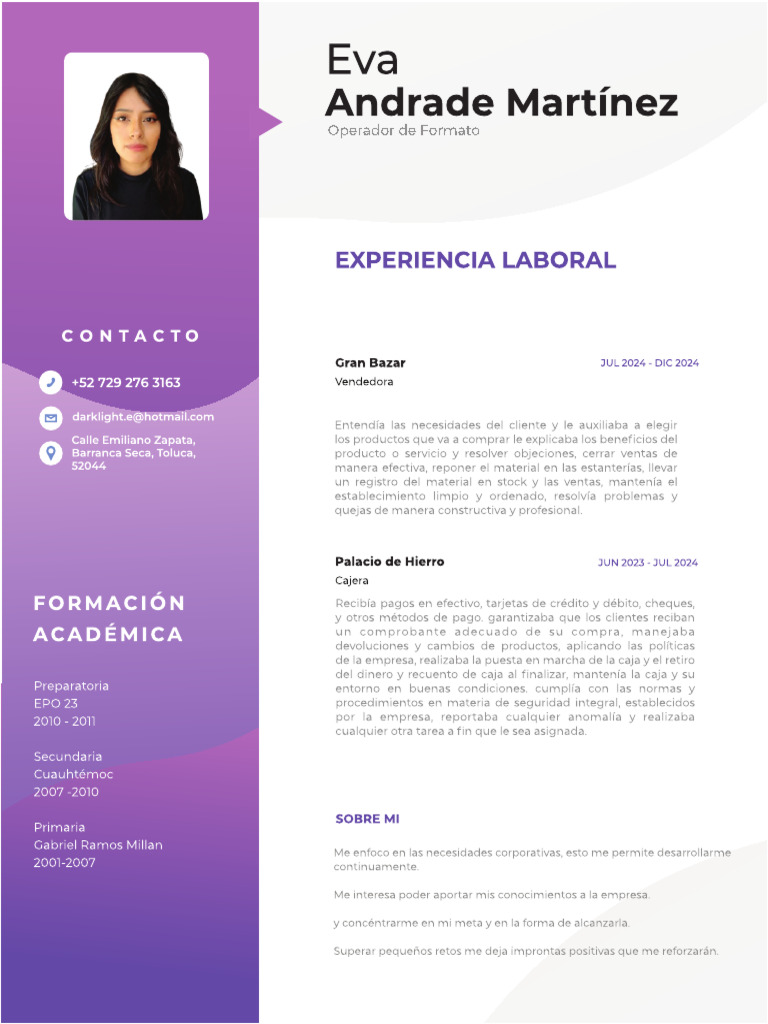 CV Eva Andrade | PDF