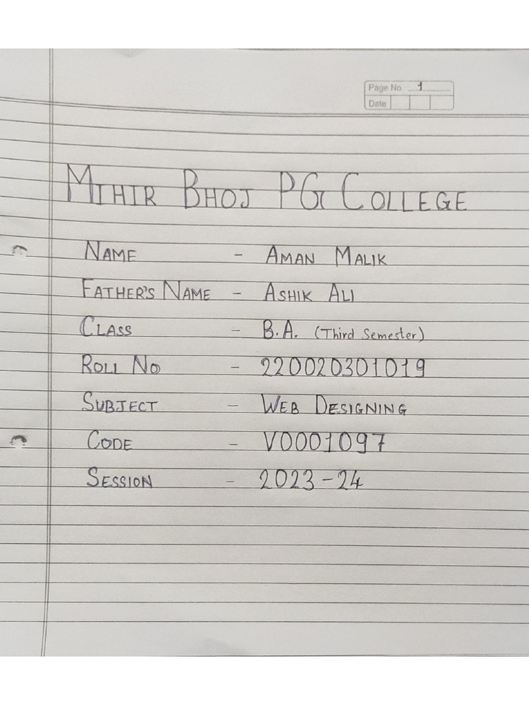 Web Designing Assignment File | PDF