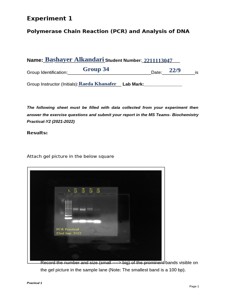 PCR-report HW | PDF | Polymerase Chain Reaction | Dna
