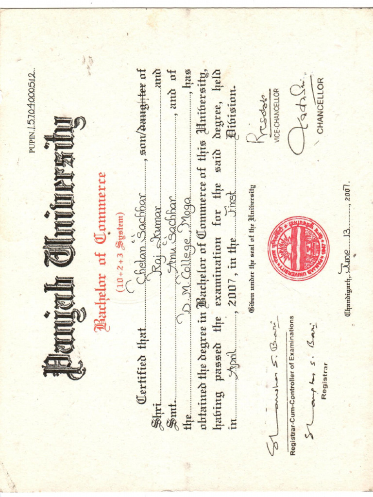 CA B Com Marksheet & Degree | PDF