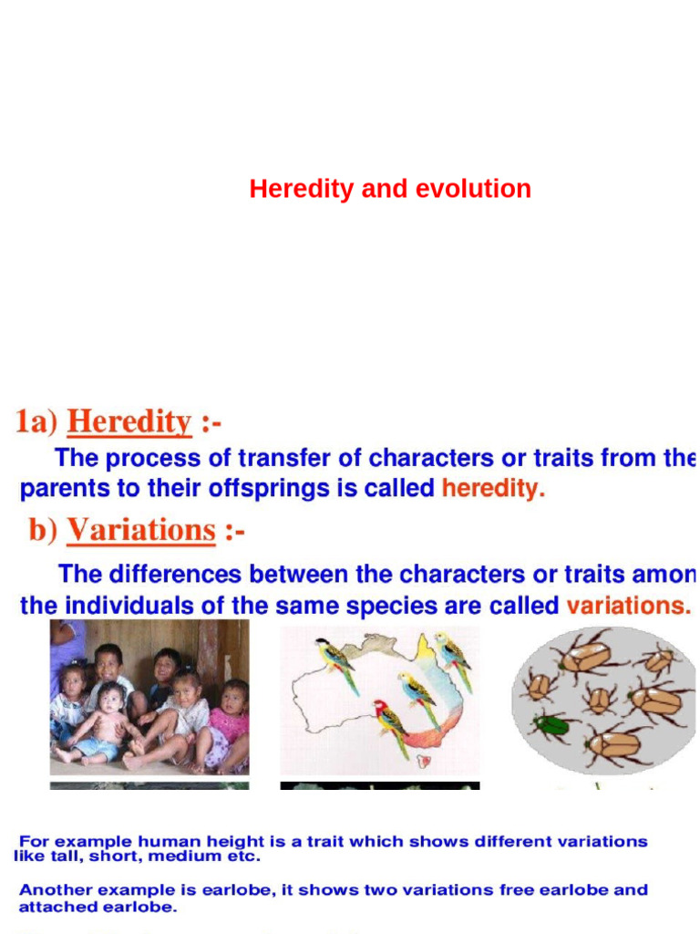 Heredity and Evolution PPT Downloaded | PDF