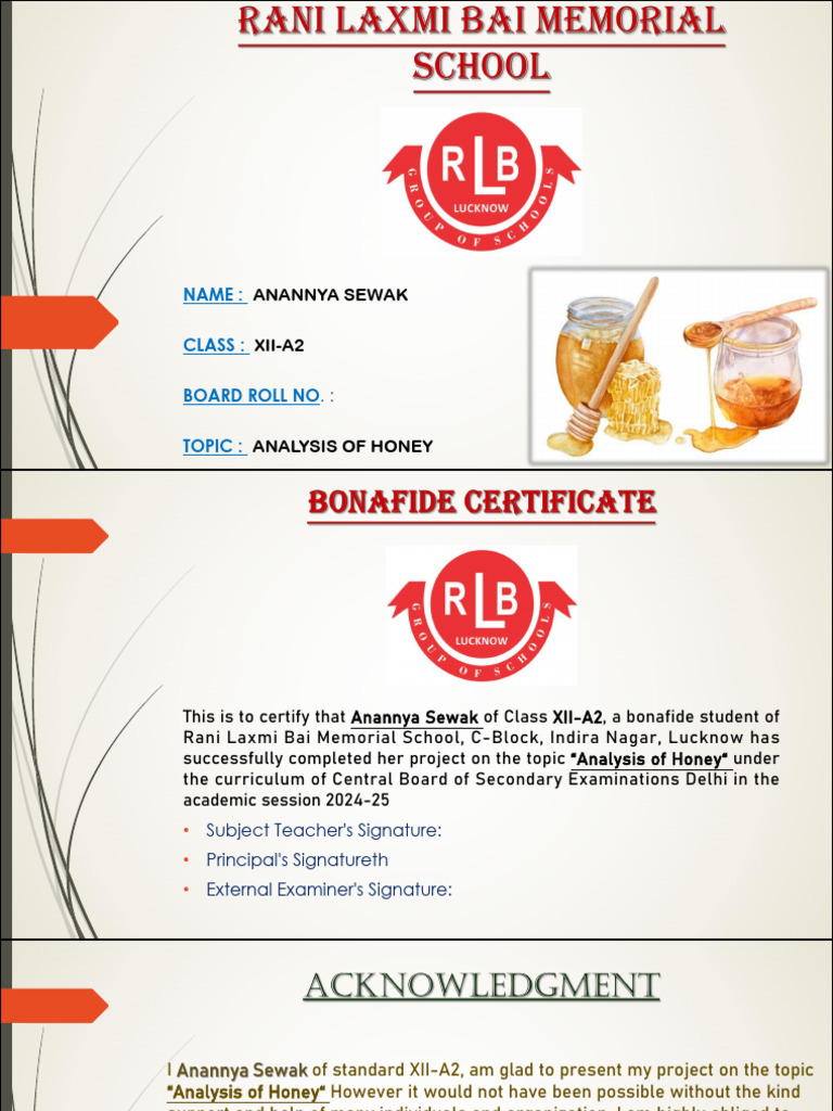 Chemistry Project | PDF | Honey | Chemical Compounds