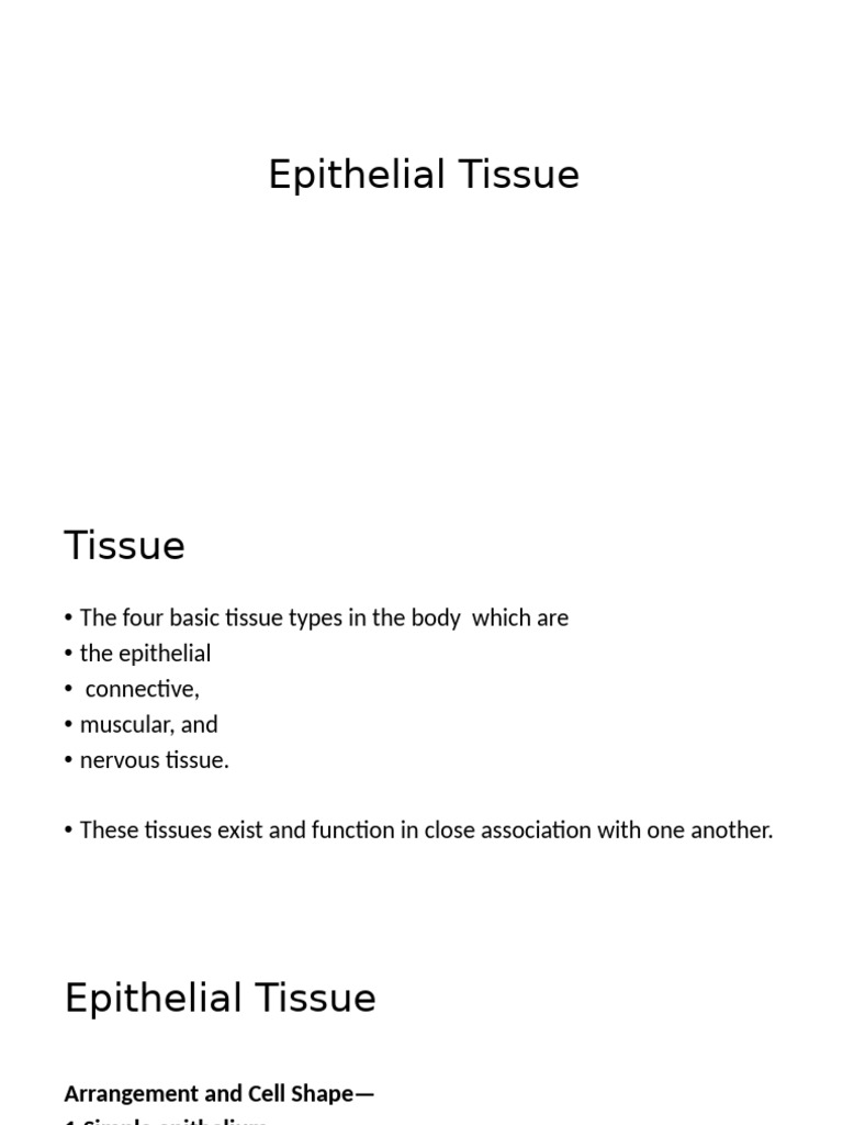 ANA212 - Epithelial - Tissue - 2024 (1) - Read-Only | PDF | Epithelium ...