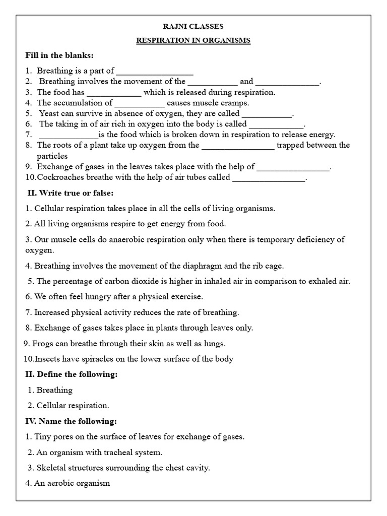 Grade 7 Science - Practice Worksheet of Respiration in Organisms | PDF | Breathing | Cellular ...