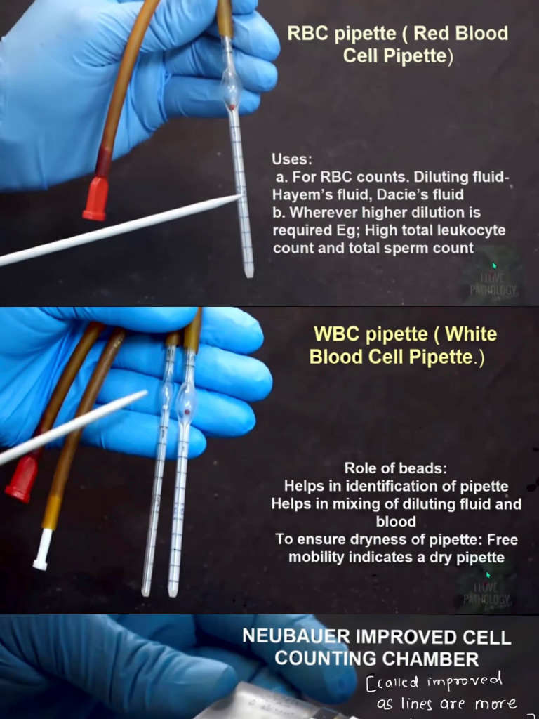 Pathology Instruments | PDF