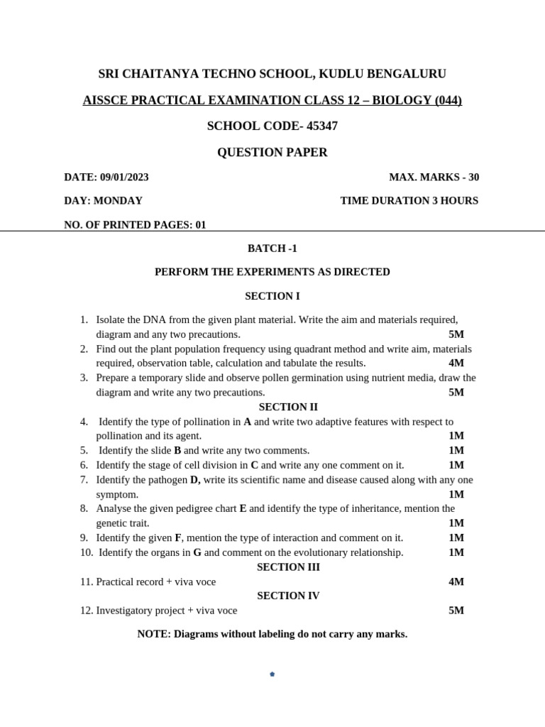 Practical Question Paper 2023 | PDF