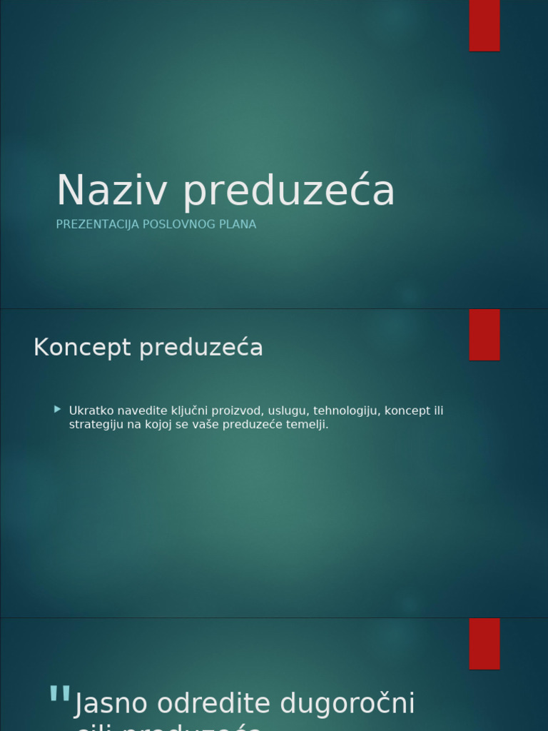 Zadatak 1 Iz Biznis Plana | PDF