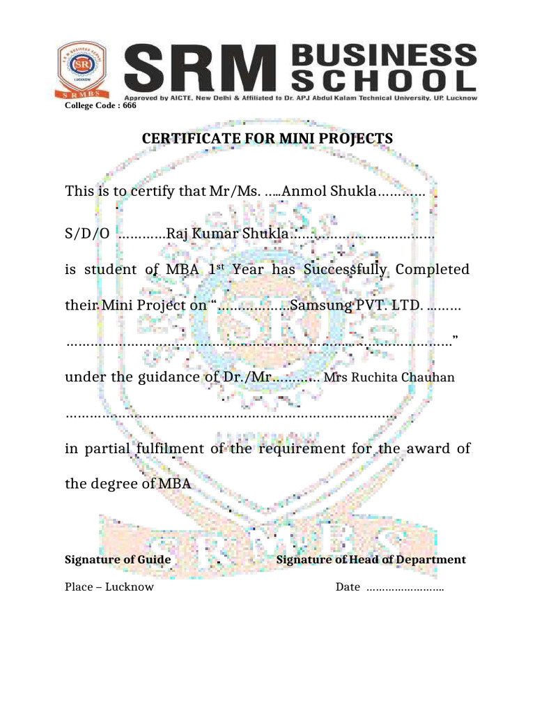 Certificate by Institute For Mini Project | PDF