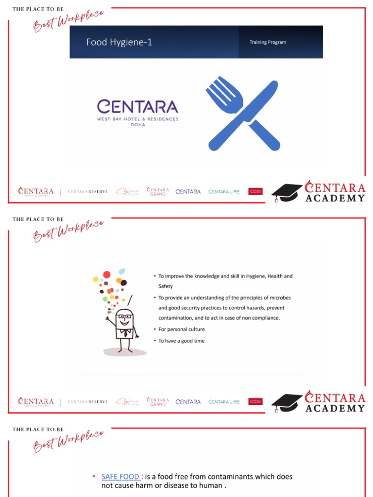 CHR Template Ppt-Hygiene (1) | PDF