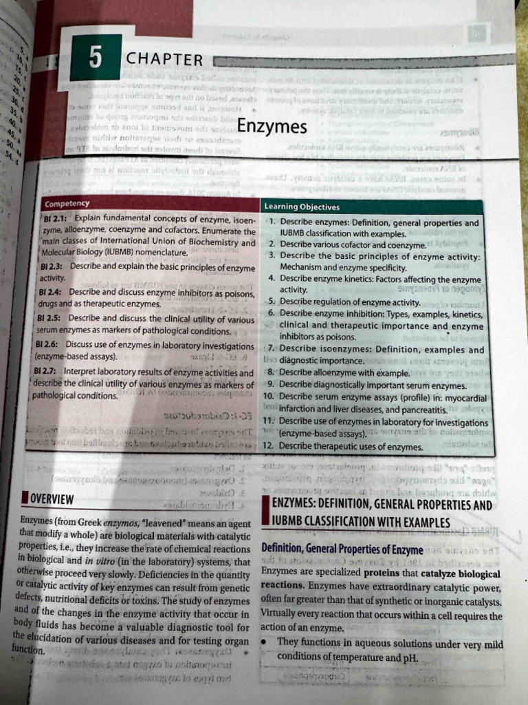 enzymes | PDF