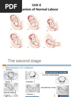 7 Cardinal Movements of Labor Explained | PDF
