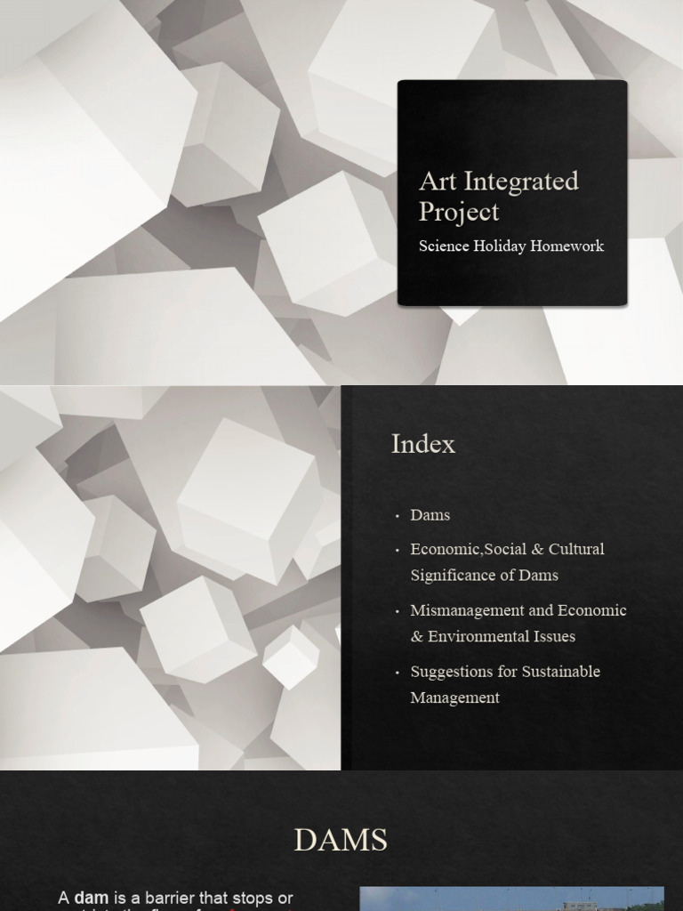Science Art Integrated Project (Group-2) | PDF | Dam | Flood