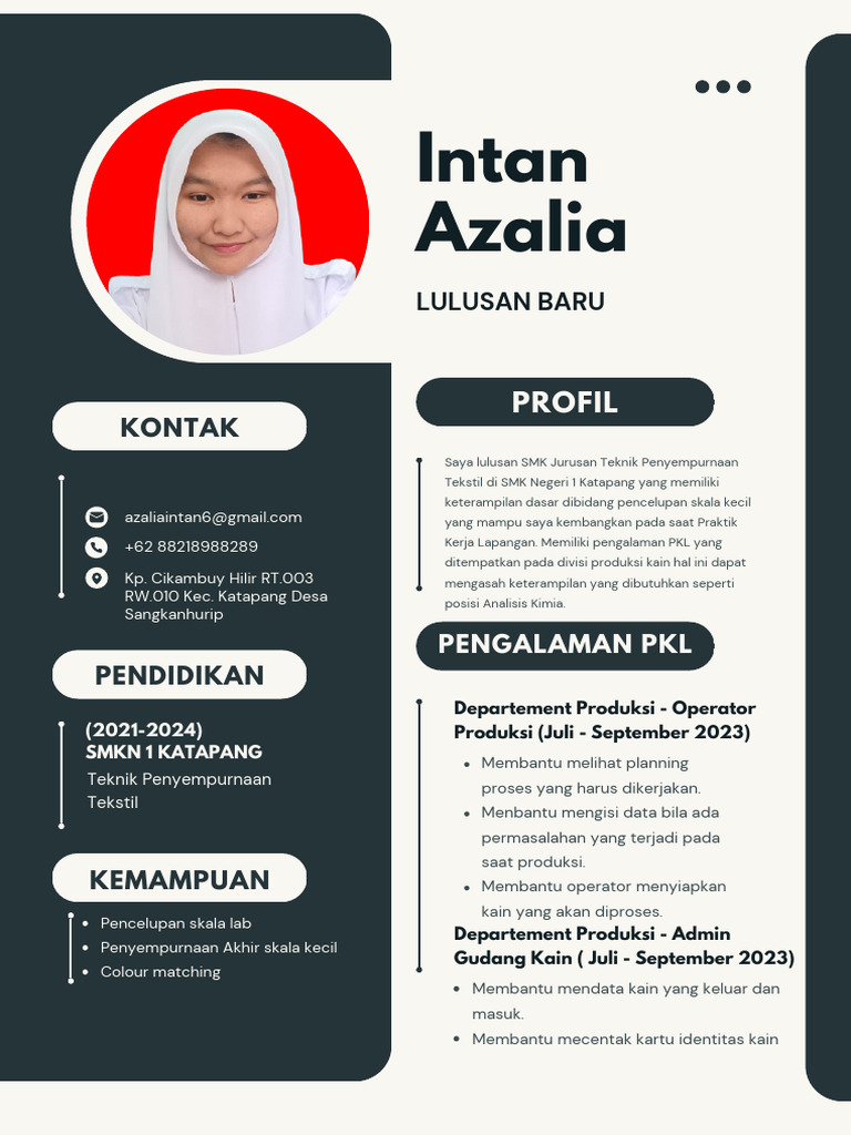 CV Kerja Intan Azalia | PDF