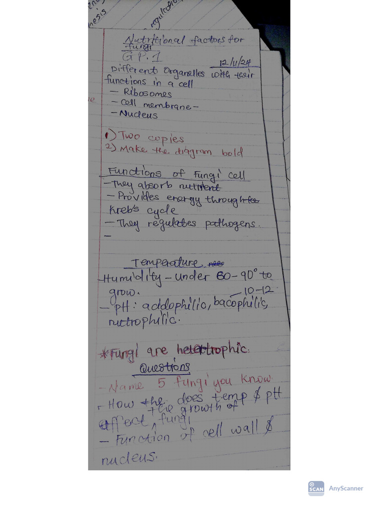 Review Questions (Prof Femi) | PDF