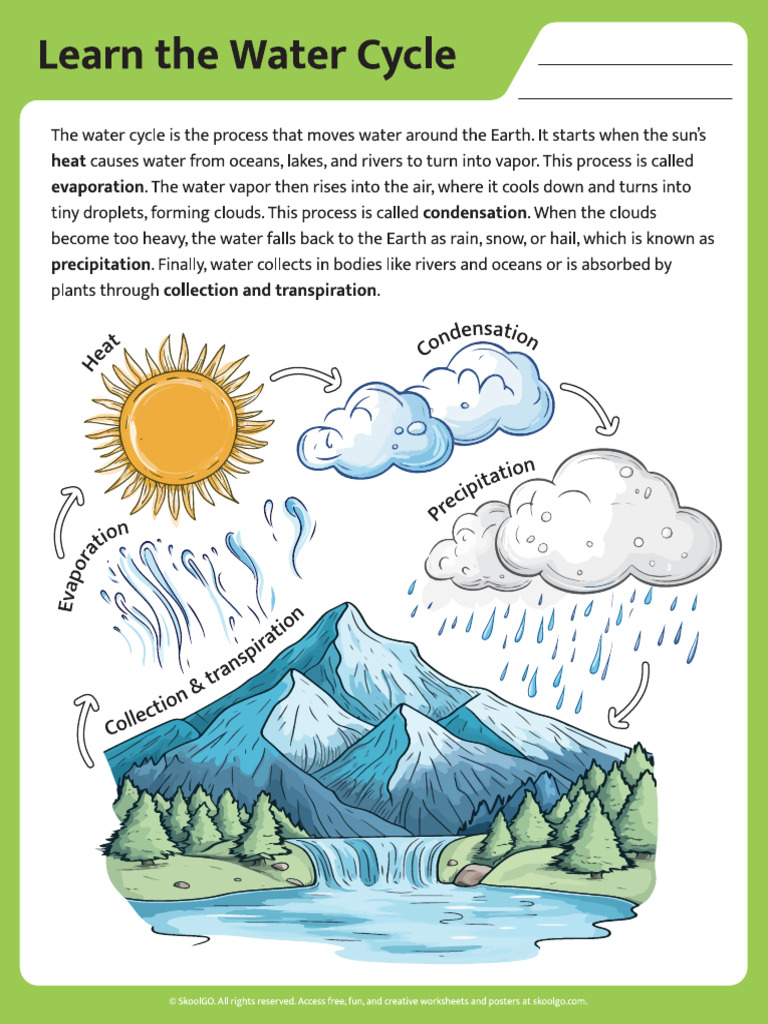 4 0052 Learn The Water Cycle | PDF