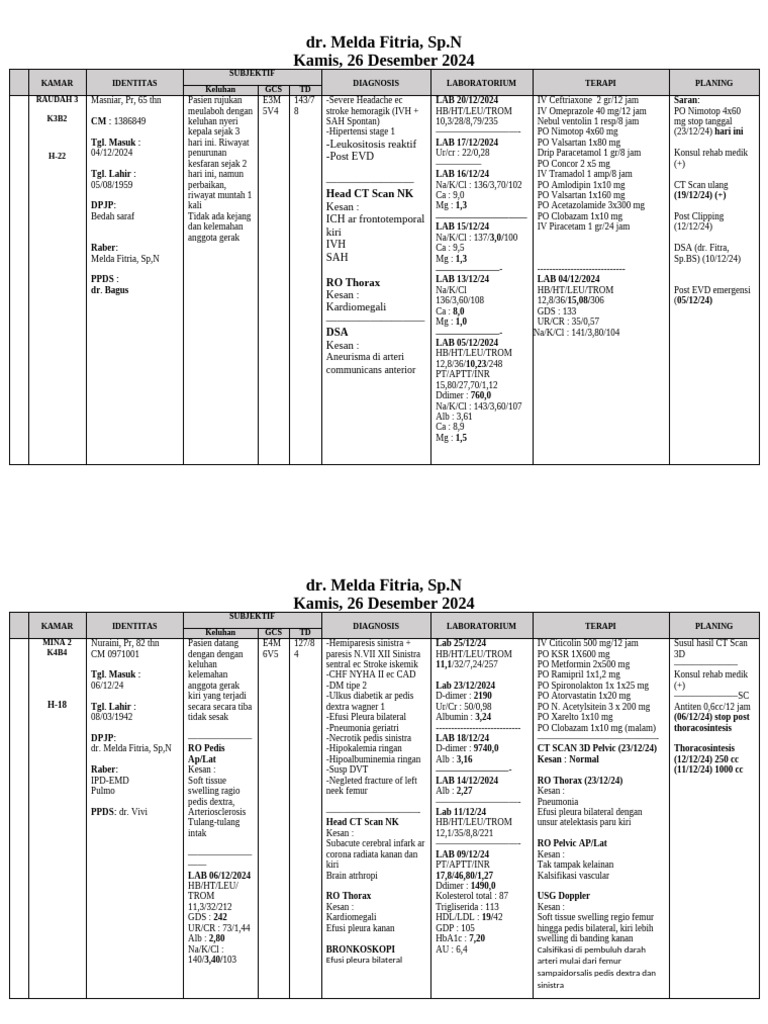 Salin1-MAPPING Dr. MF 24 Des 2024 2 | PDF