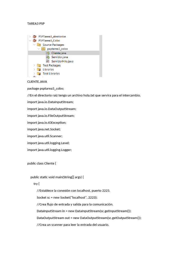 Tarea3 PSP | PDF | Java (lenguaje de programación) | Software