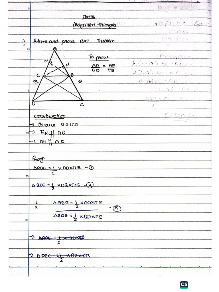 Maths Assignment Triangles | PDF
