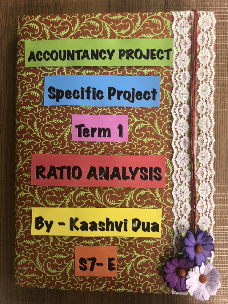 accounts class 12 cbse project | PDF