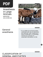 Goat and Sheep Anesthesia Protocols | PDF | Anesthesia | Analgesic