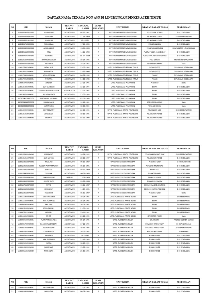 DATA NON ASN DAN BAKTI MURNIxlsx-1 | PDF