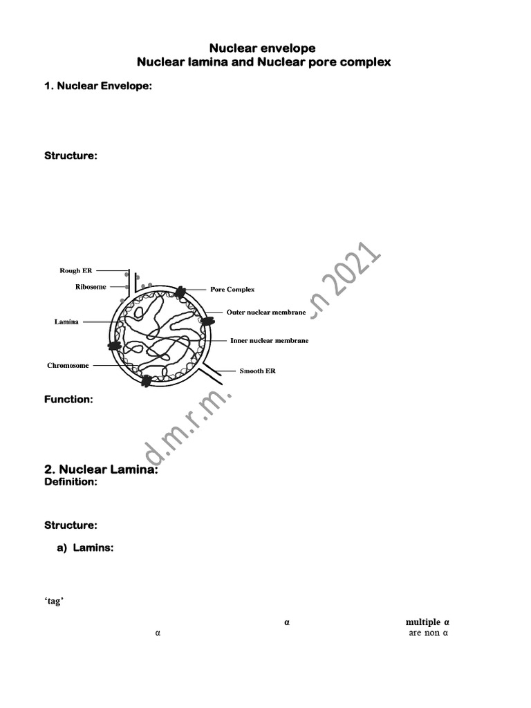 Nuclear Envelope Membrane Pore Complex 2021 | PDF | Cell Nucleus ...