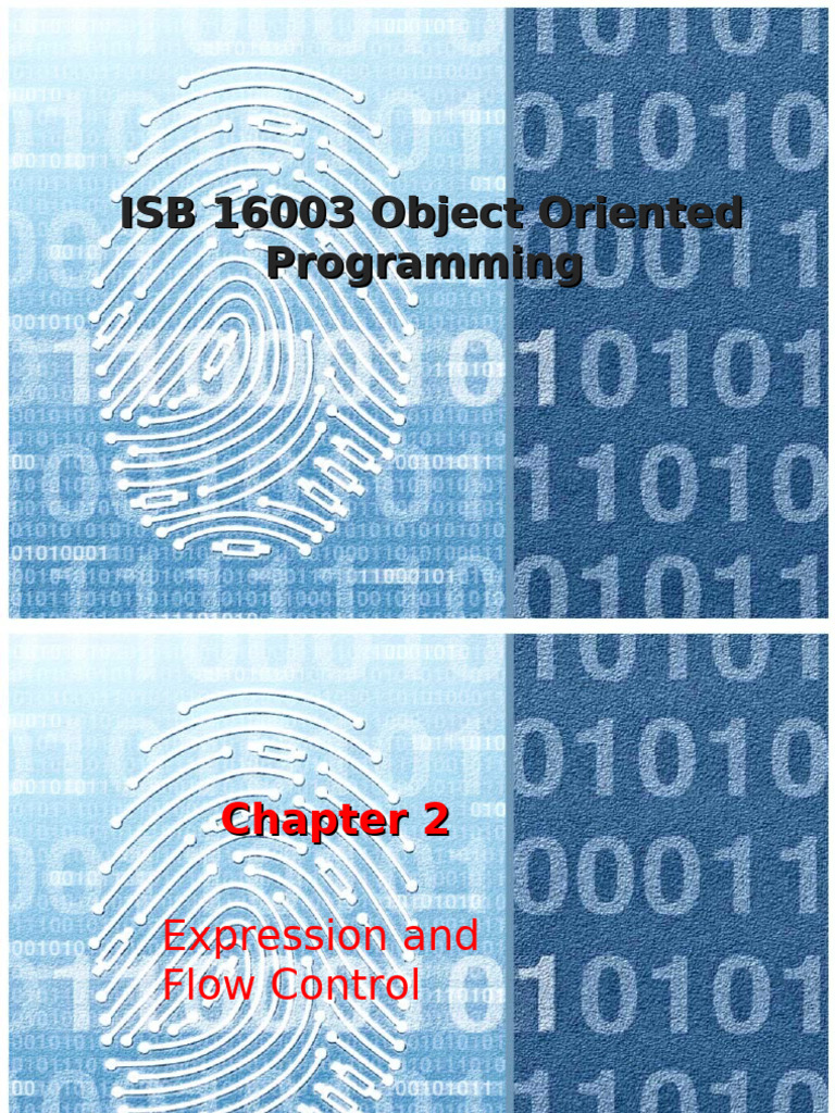 Chapter2ExpressionFlow | PDF | Control Flow | Boolean Data Type