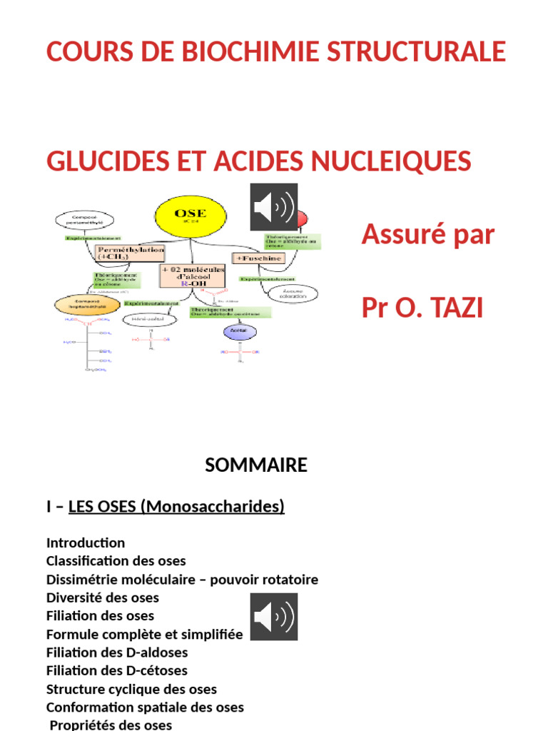 Glucides et Acides Nucléiques : Cours de Biochimie | PDF | Glucide | ADN