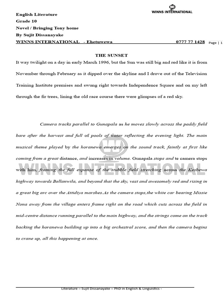 Novel - Lesson 01 | PDF