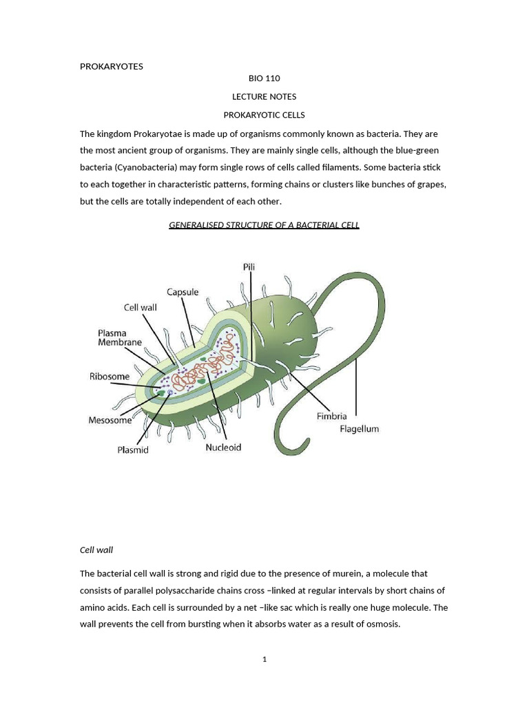 Bio 110 Prok Lec 1 | PDF | Bacteria | Cell (Biology)