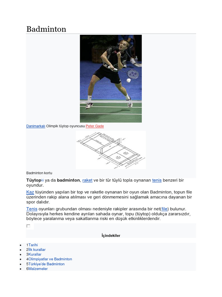 12142119_Badminton | PDF