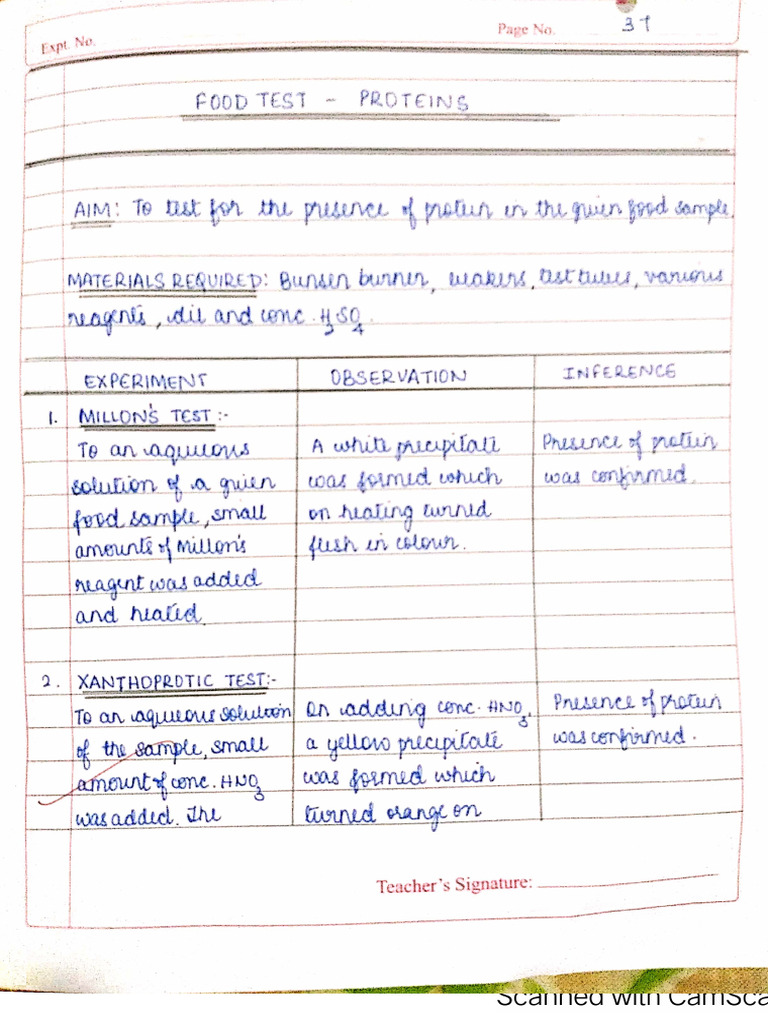 Experiment 7 - Food Test - Protein - Experiment10 - Fats | PDF