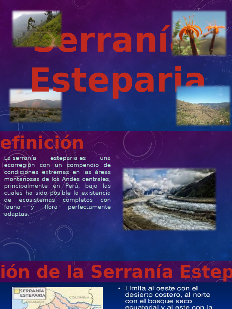 Serranía Esteparia: Flora y Fauna Adaptadas | PDF | Andes | Clima templado