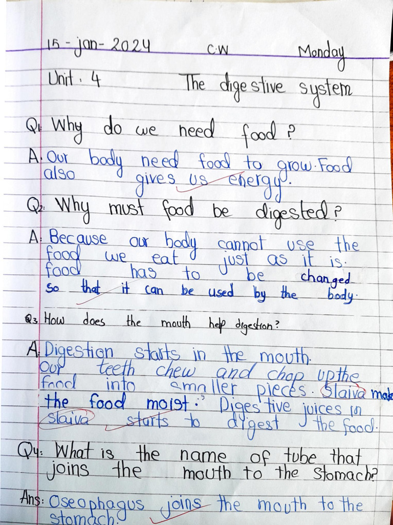 Grade 5 Science | PDF