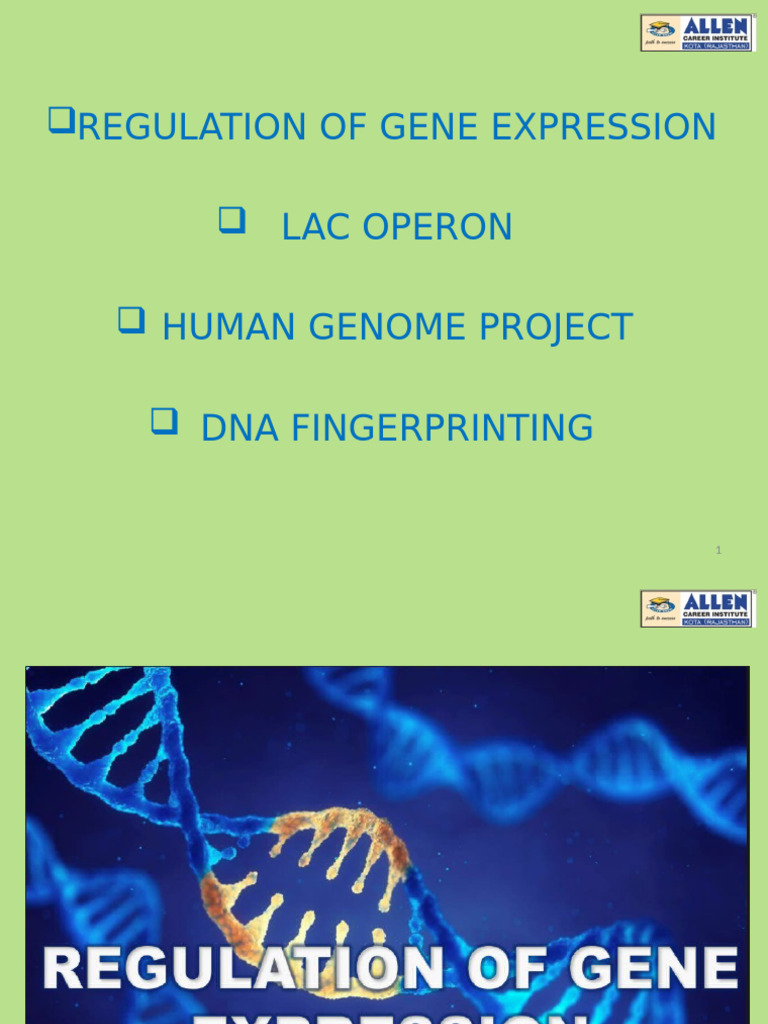 Gene Regulation and Lac Operon | PDF