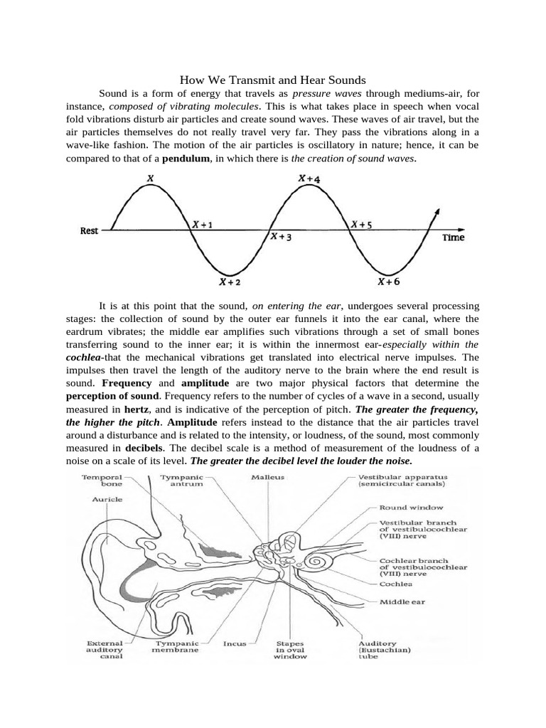 How We Transmit and Hear Sounds | PDF | Sound | Pitch (Music)