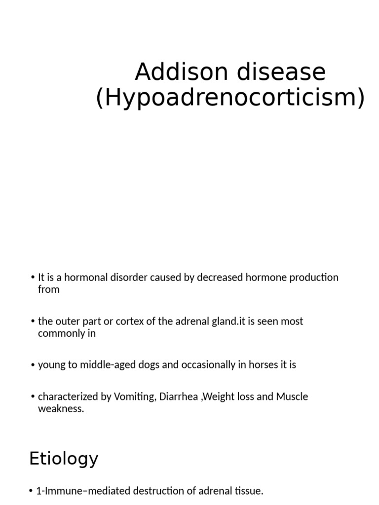 Addison Disease (Hypoadrenocorticism) | PDF | Glands | Endocrine Diseases