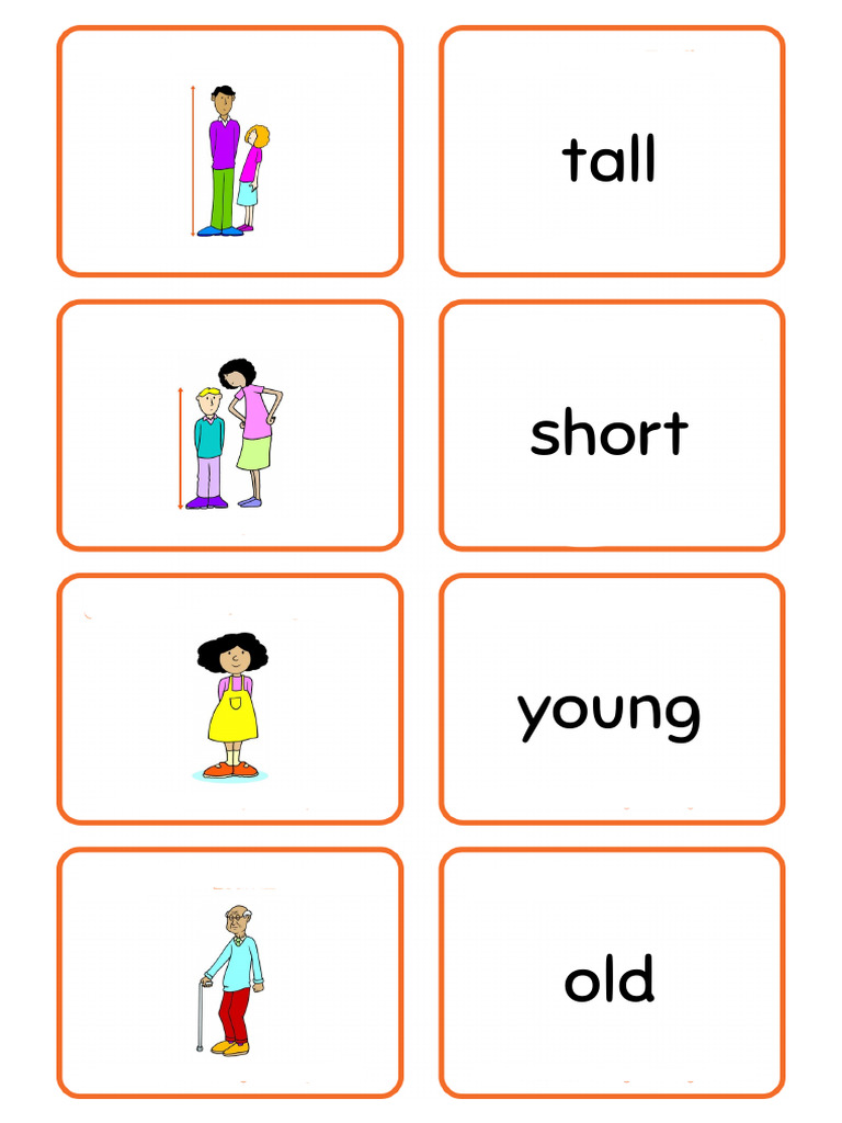 Flashcards Describing Set 1 | PDF