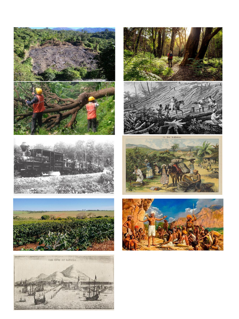 Hitory Photos | PDF