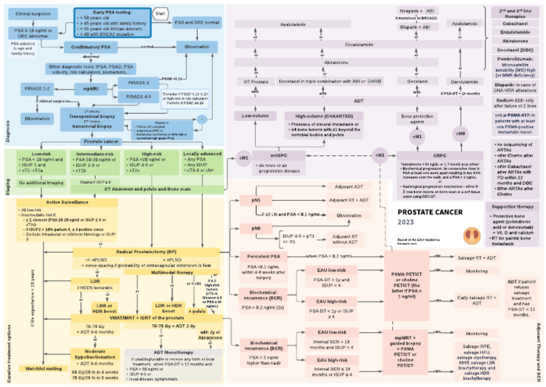 ProstateCA Flowchart Knowuro 20230713 | PDF | Prostate Specific Antigen ...