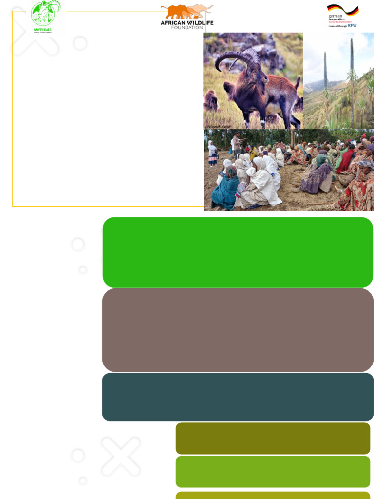 20241209 AWF Presentation_NSC Meeting_1012024-1 | PDF | Natural Environment