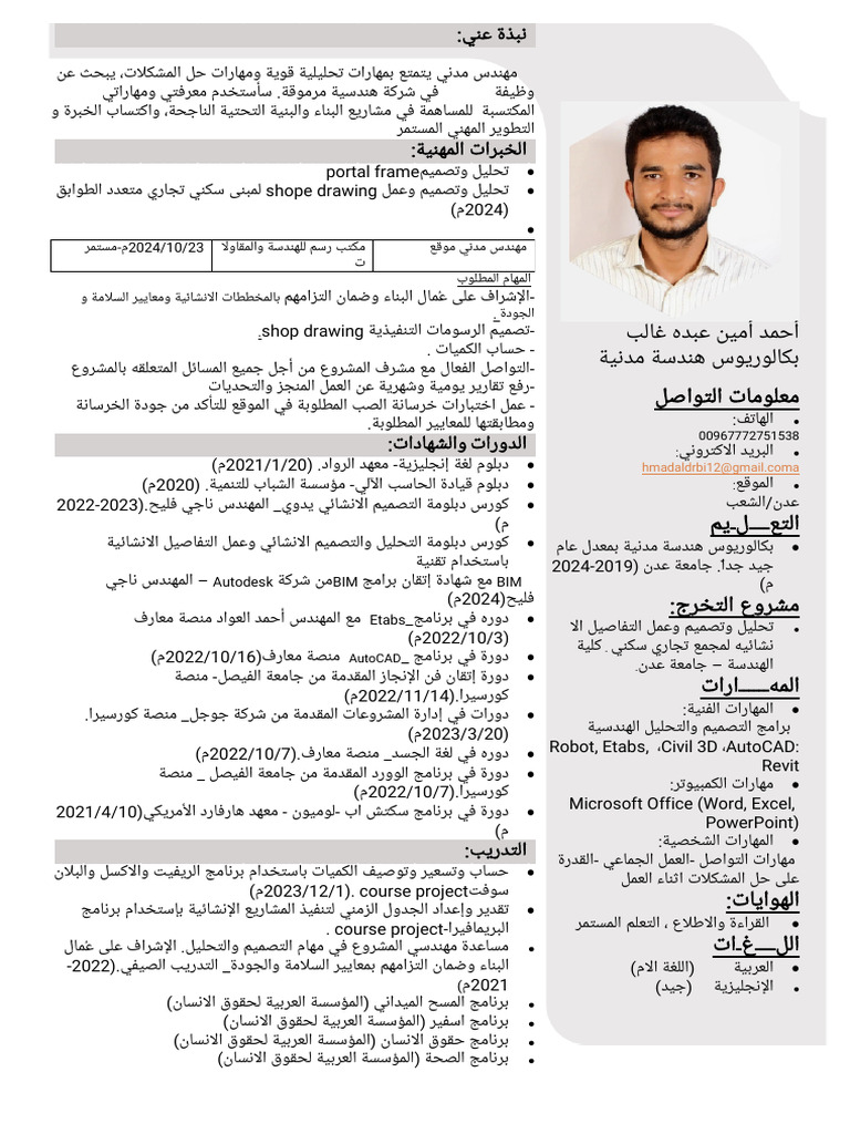 CV - AHMED AMEEN | PDF
