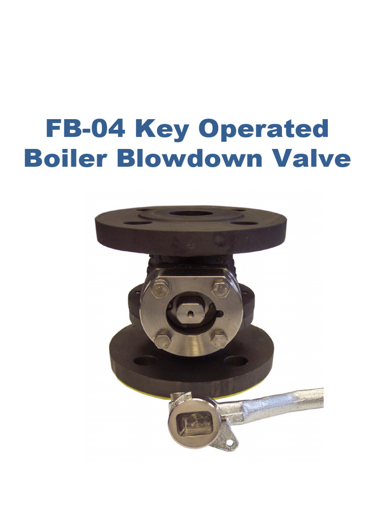 RTK-TDS-FB04 Manual Blowdown Valve | PDF | Valve | Equipment