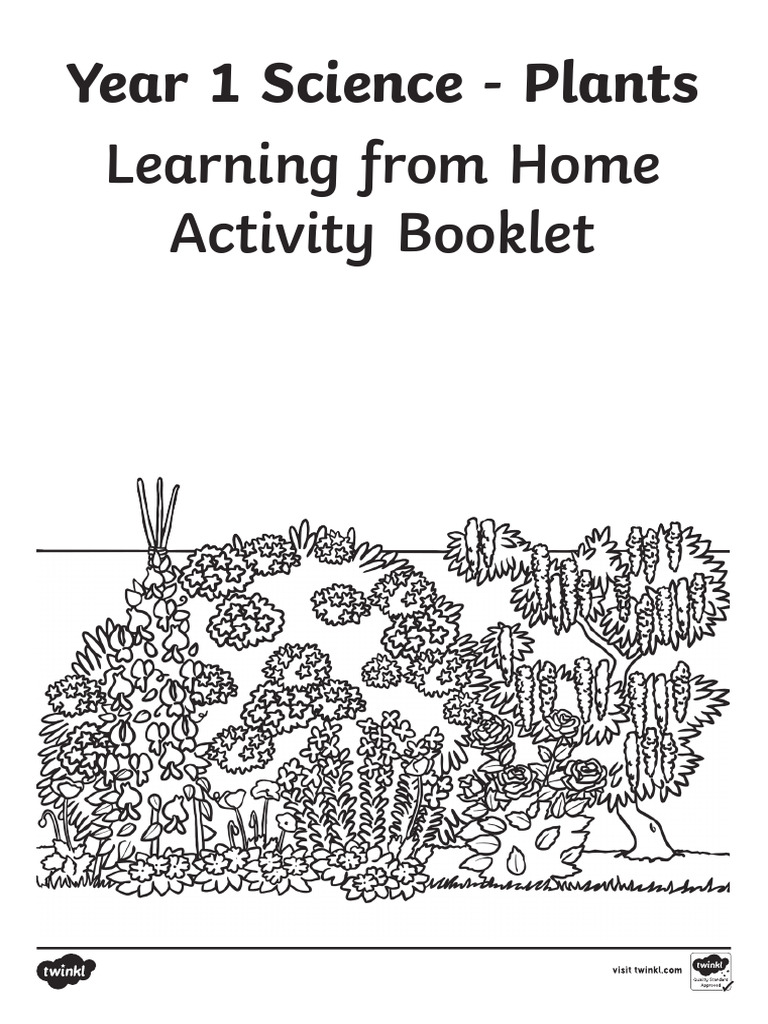 Science Plants Activity Booklet | PDF | Plants | Trees