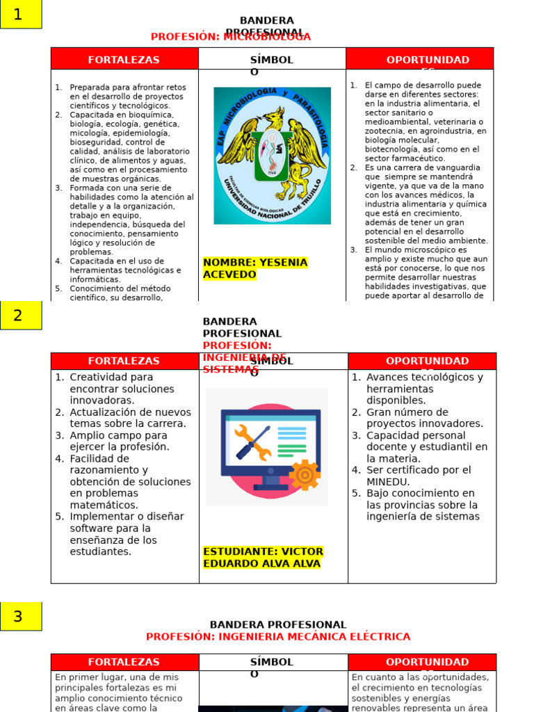 Bandera Personal - I - Ciclo - B | PDF | Contador | Maestros