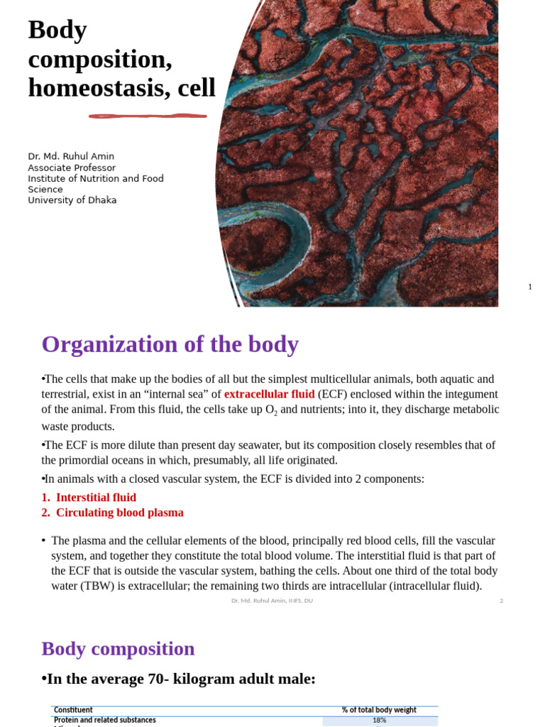 Lec 4a Cells Tissues Body Fluid Compartments | PDF | Mitochondrion | Cytoplasm
