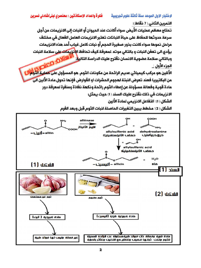 Exo Enzyme Ail | PDF